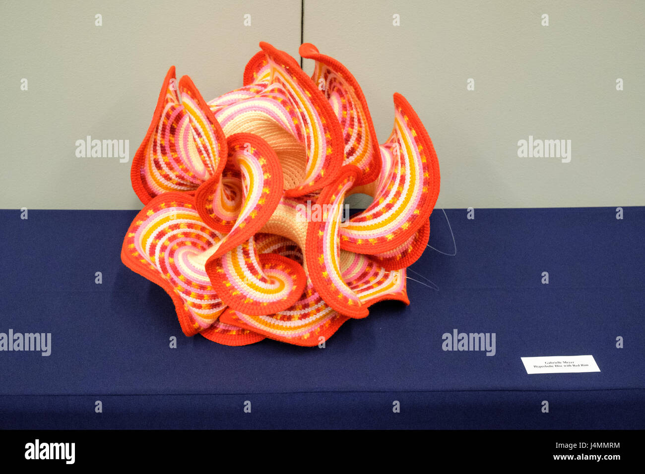 Crocheted Hyperbolic disc with red rim, by Gabrielle Meyer, on display ...