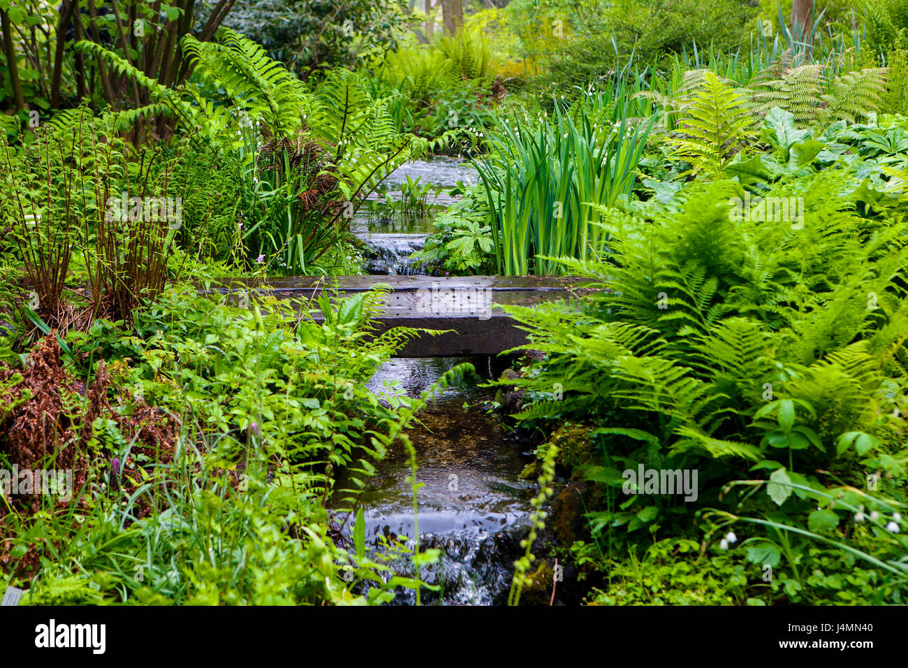 Hortus Botanicus, Botanical garden in Leiden, Netherlands Stock Photo ...