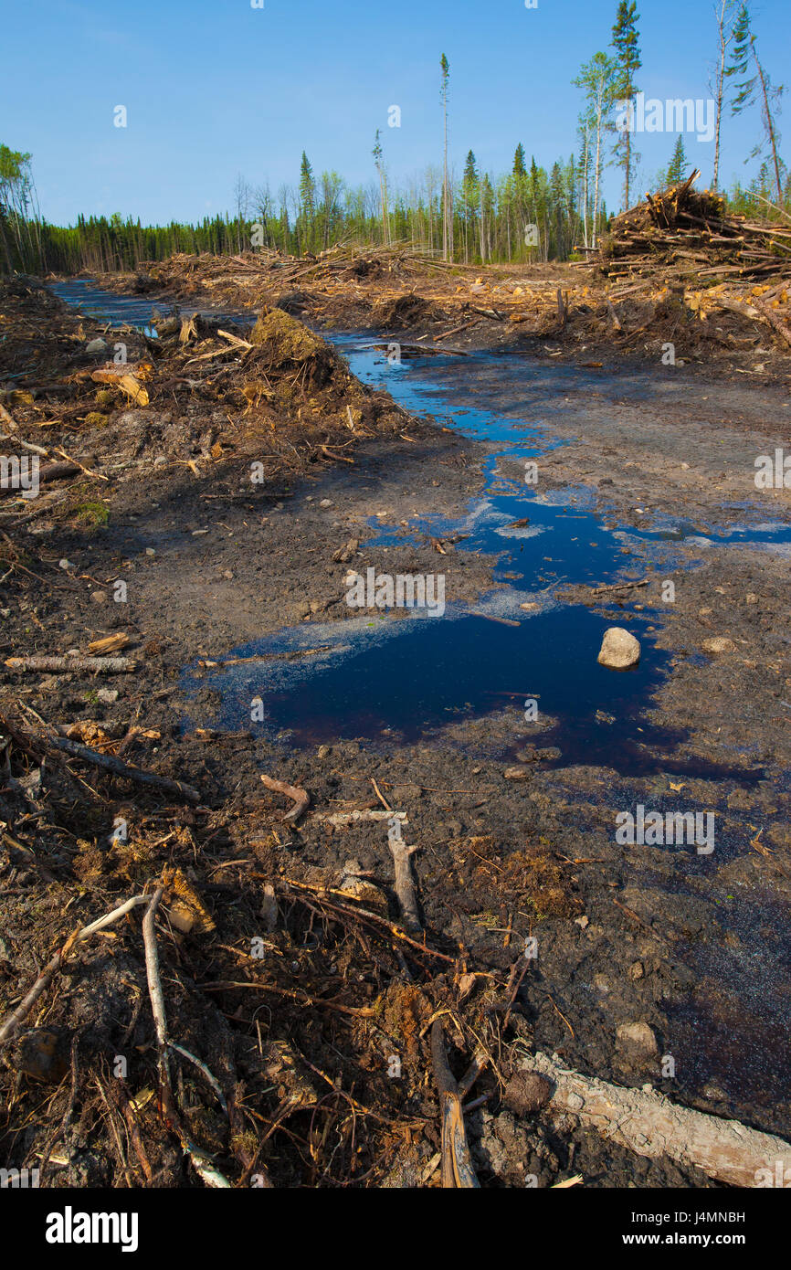 Northern saskatchewan hi-res stock photography and images - Alamy