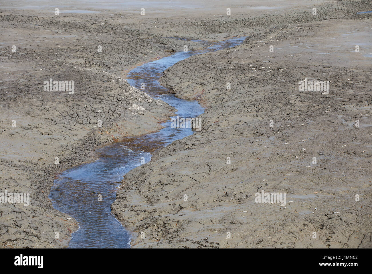 Meandering water stream flowing through a dry pond Stock Photo - Alamy