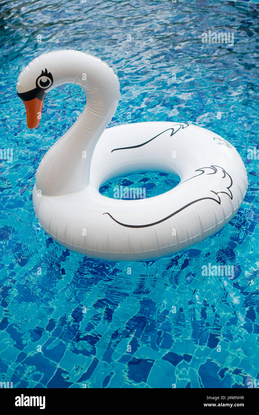 Inflatable white swan float in the outdoor swimming pool Stock Photo ...