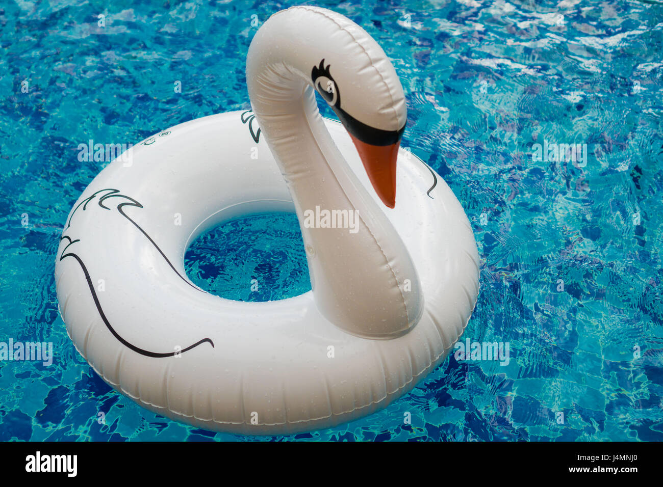 Inflatable white swan float in the outdoor swimming pool Stock Photo ...