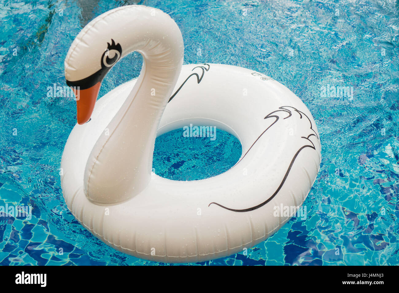 Inflatable white swan float in the outdoor swimming pool Stock Photo ...