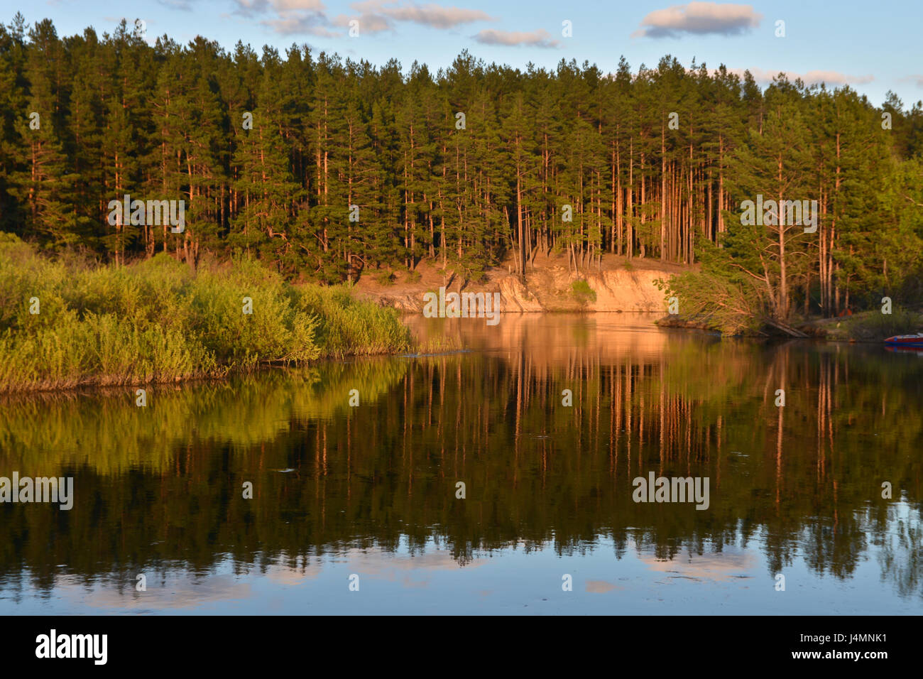 Spring in the national park "Meshchersky", central Russia. Forest ...