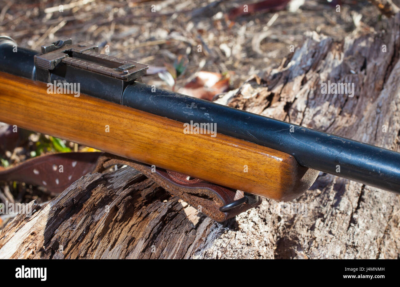 Log under the stock of a rifle to help in a long shot Stock Photo - Alamy