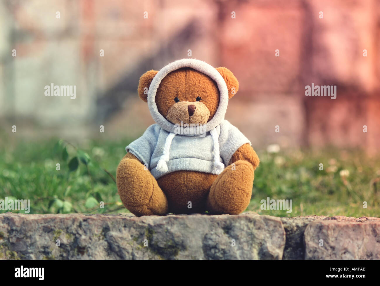 Teddy bear outdoor Stock Photo - Alamy