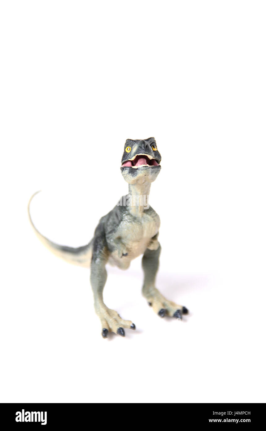 Single dinosaur Cut Out Stock Images & Pictures - Alamy