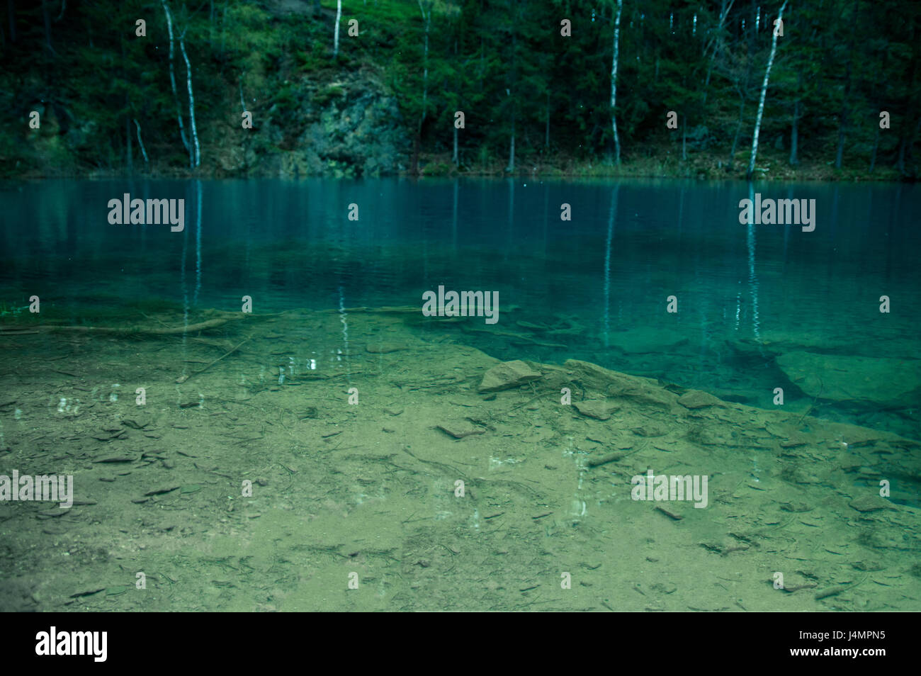 Magical pond in mysterious forest Stock Photo - Alamy