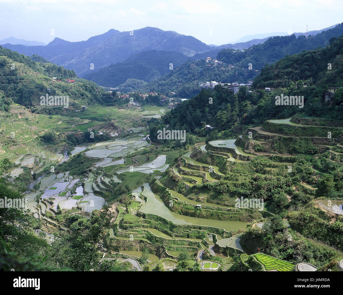 The Philippines, Banawe, travel terraces, mountain village, residential ...