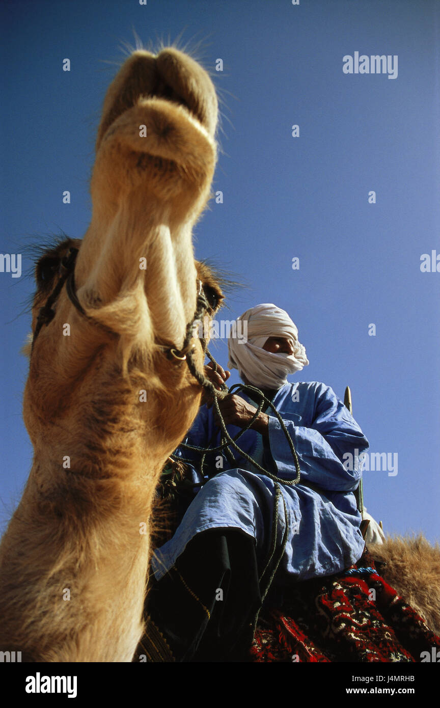 Libya tuareg camel africa desert hi-res stock photography and images ...