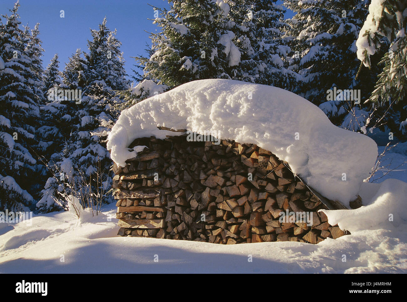 Edge of the forest, wooden batch, winter wood, conifers, wood yard ...