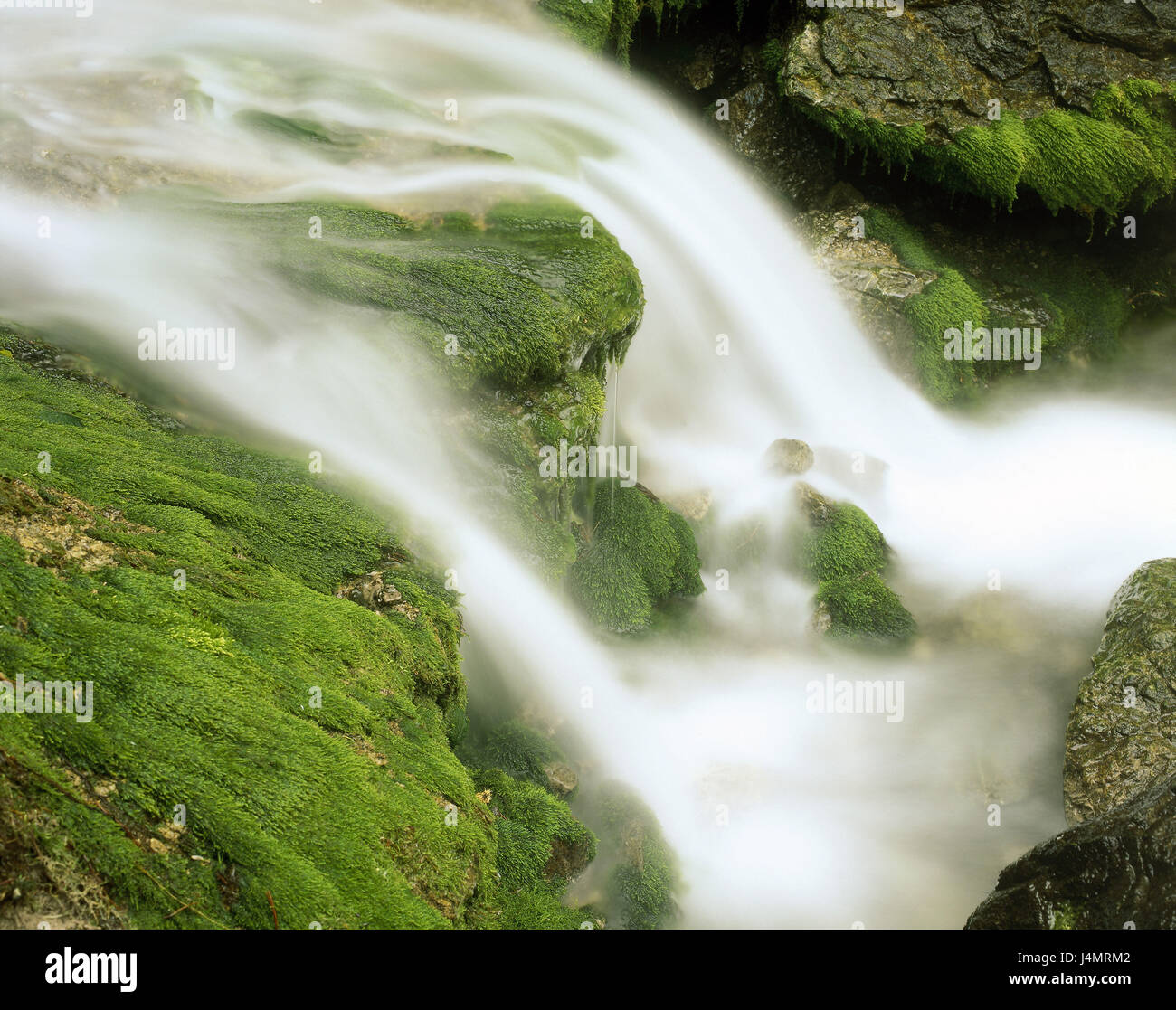 Brook, detail, waterfall, stones, bemoost meadow brook, forest brook ...