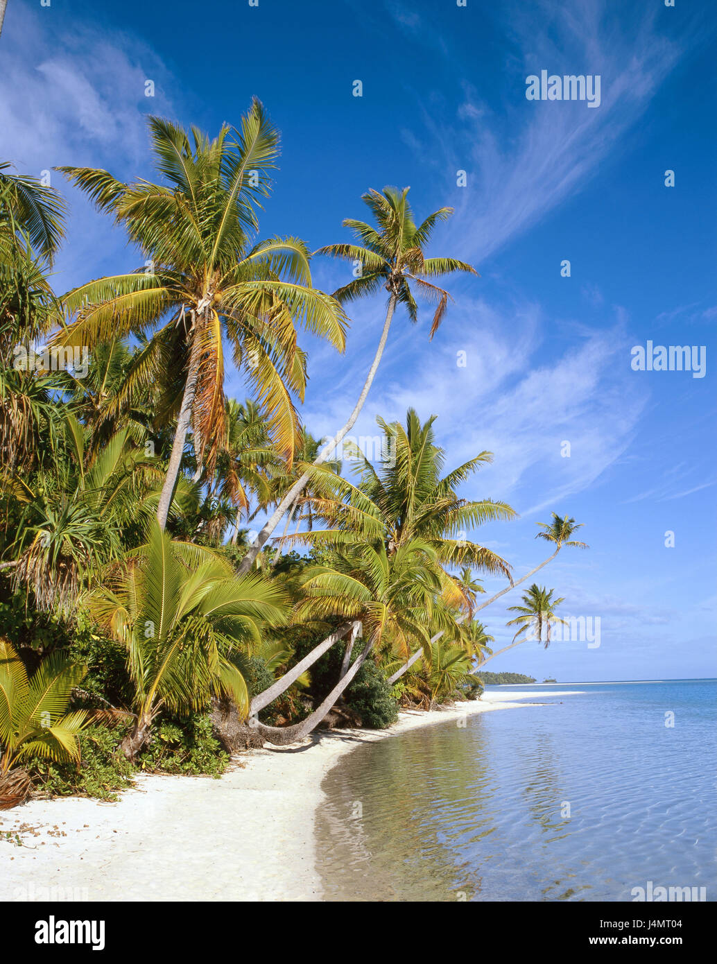 New Zealand, Cook Islands, Aitutaki, One Foot Iceland, palm beach New ...