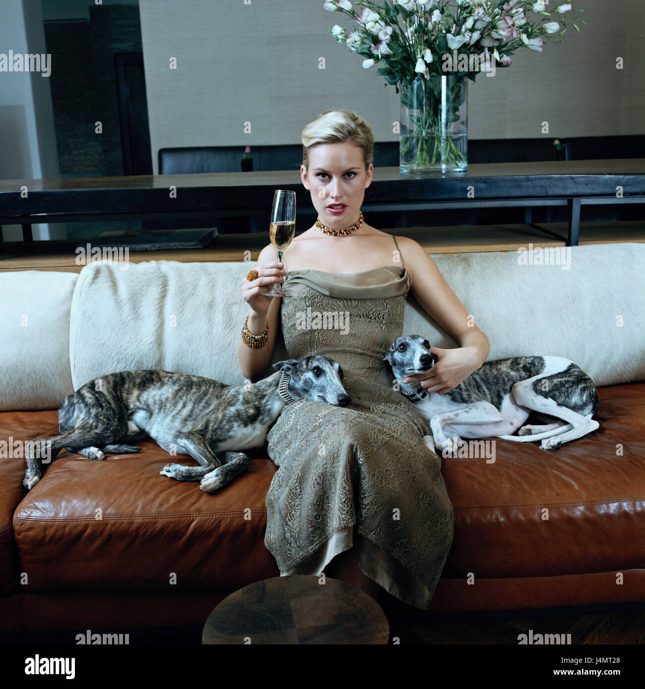 Snob woman hi-res stock photography and images - Alamy