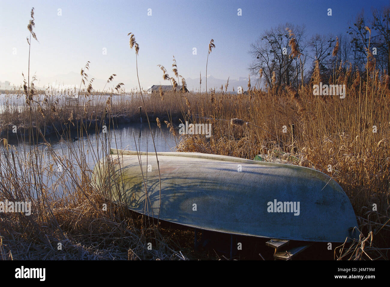 Germany, Upper Bavaria, Chiemgau, Lake Chiem, reed, oar boot, morning ...
