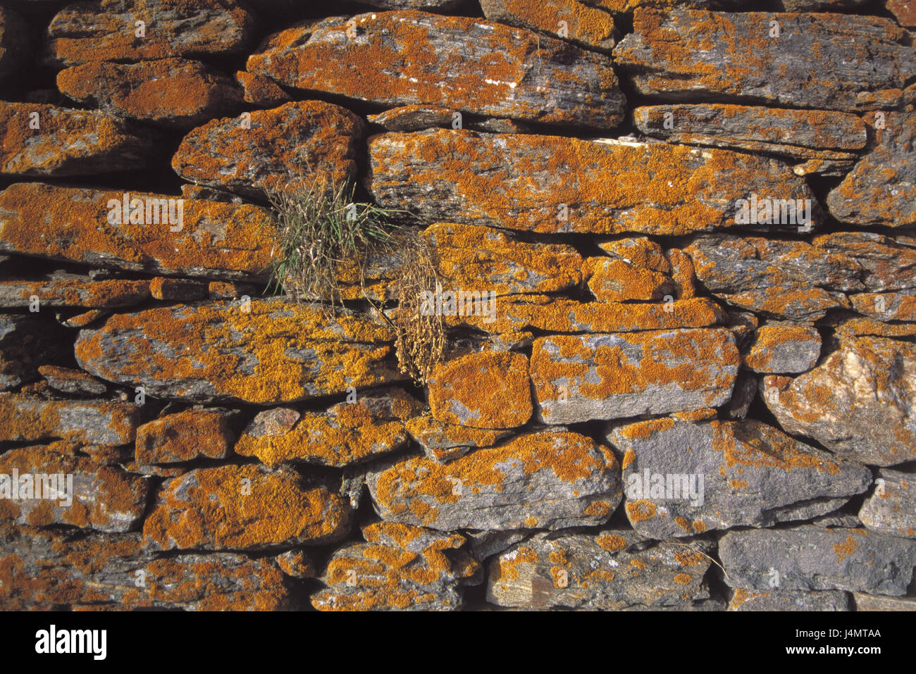 Natural stone defensive wall, detail Europe, Southern Europe, Italy ...