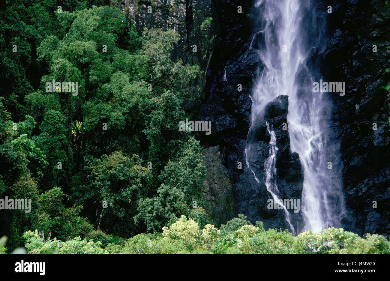 Wingham and australia hi-res stock photography and images - Alamy