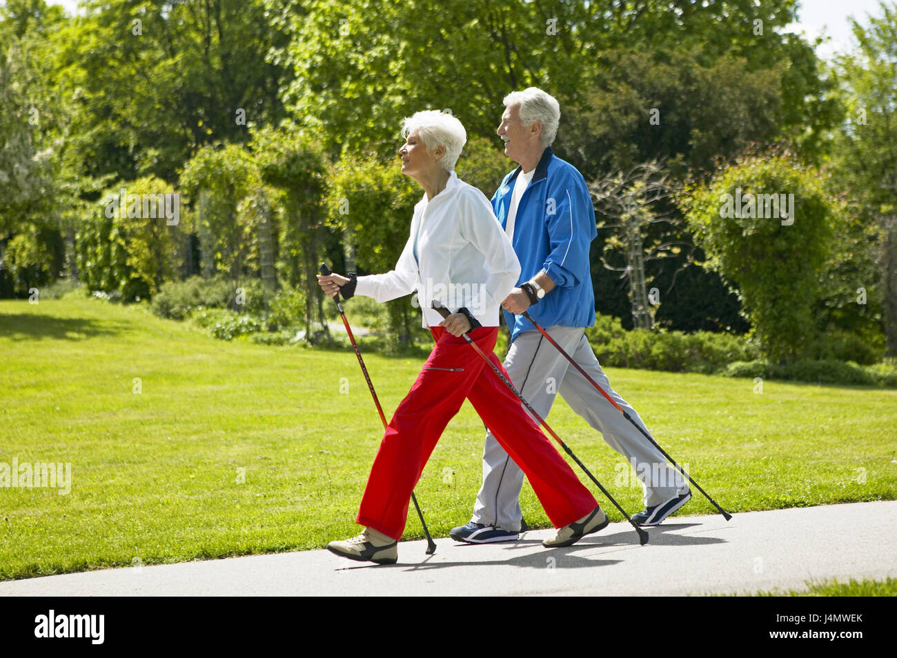 Forest way, senior citizen's couple, Nordic Walking, at the side ...