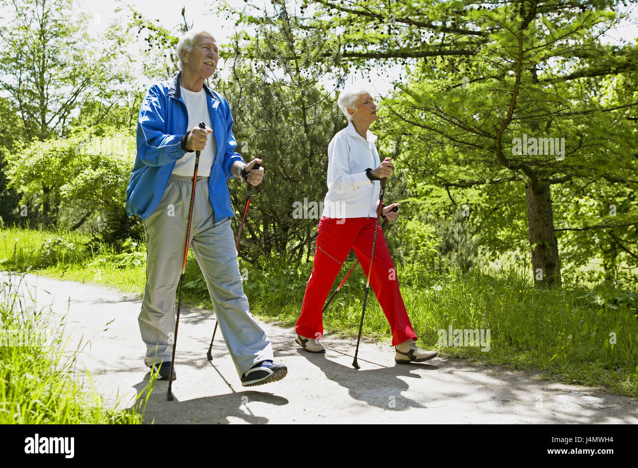 Forest way, senior citizen's couple, Nordic Walking , senior citizens ...