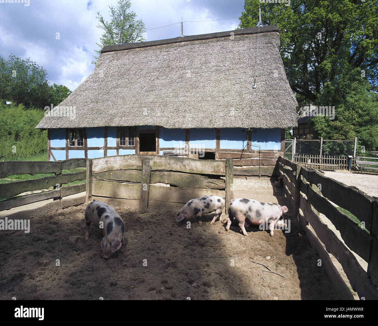 Germany, Lower Saxony, marriage peat, mountain Kieke, open-air museum ...