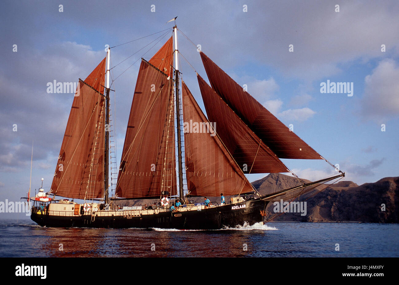 Adelaar hi-res stock photography and images - Alamy