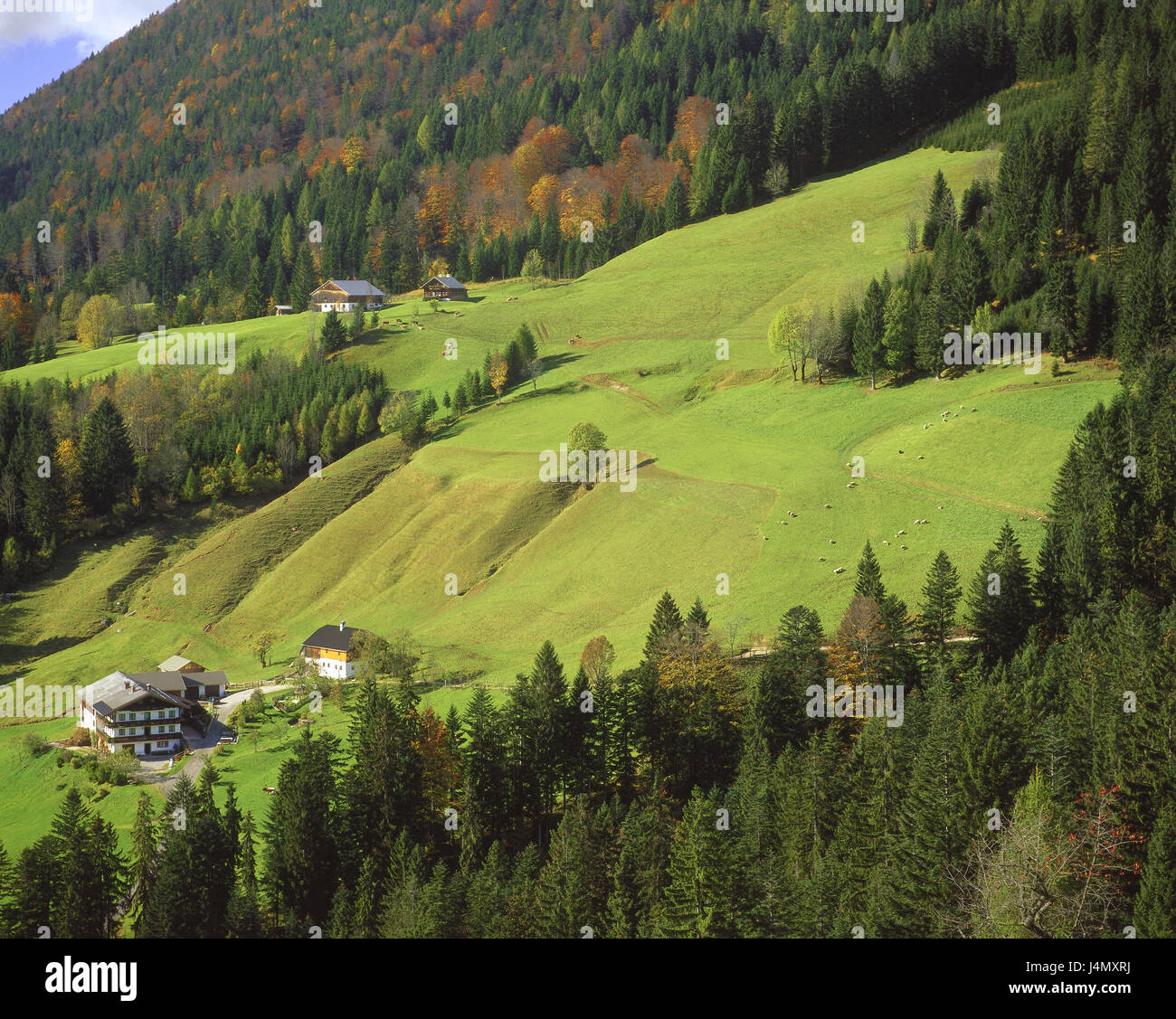 Austria, Salzburg country, Abtenau, Postalmstrasse, mountainside, farms ...