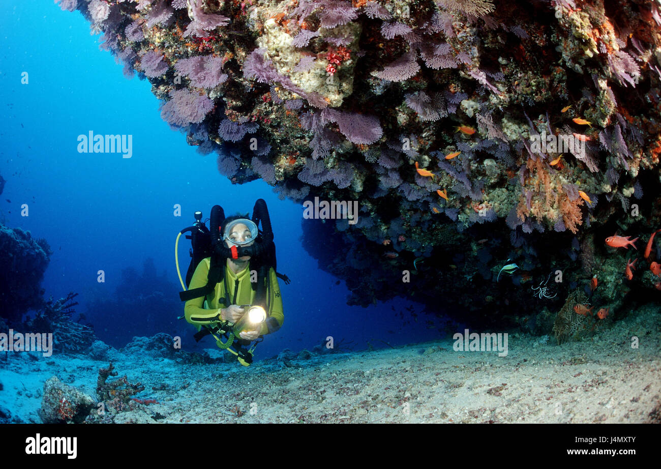 Diver, coral reef Stock Photo - Alamy