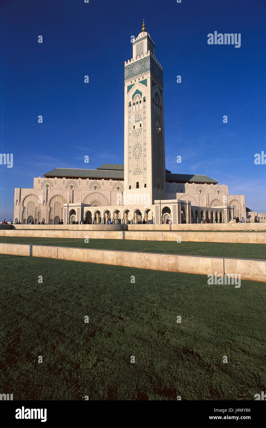 Neuro manically hi-res stock photography and images - Alamy