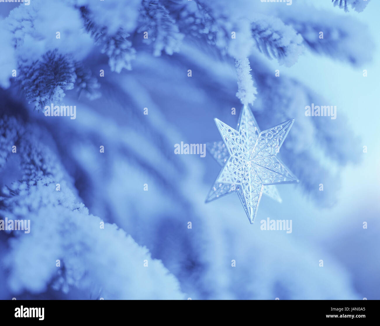 Christmas star ice crystal hi-res stock photography and images - Alamy