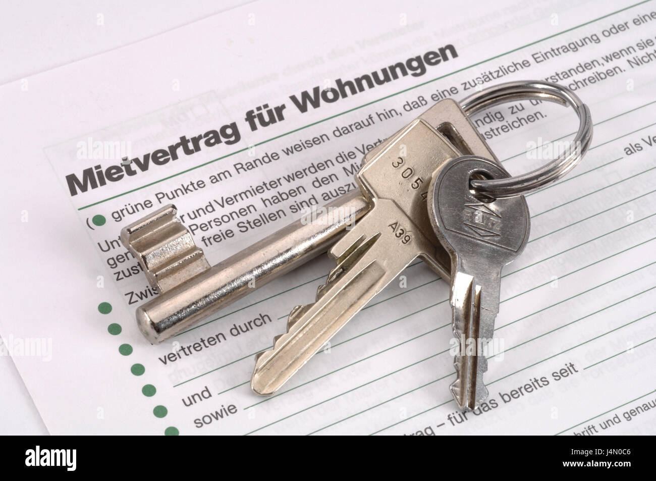 Hire contract, flat key, icon, rent, tenant, rent, rent, renter ...