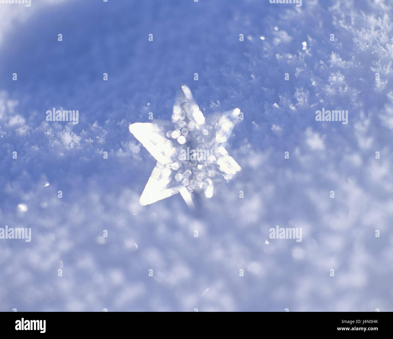 Glasstern hi-res stock photography and images - Alamy