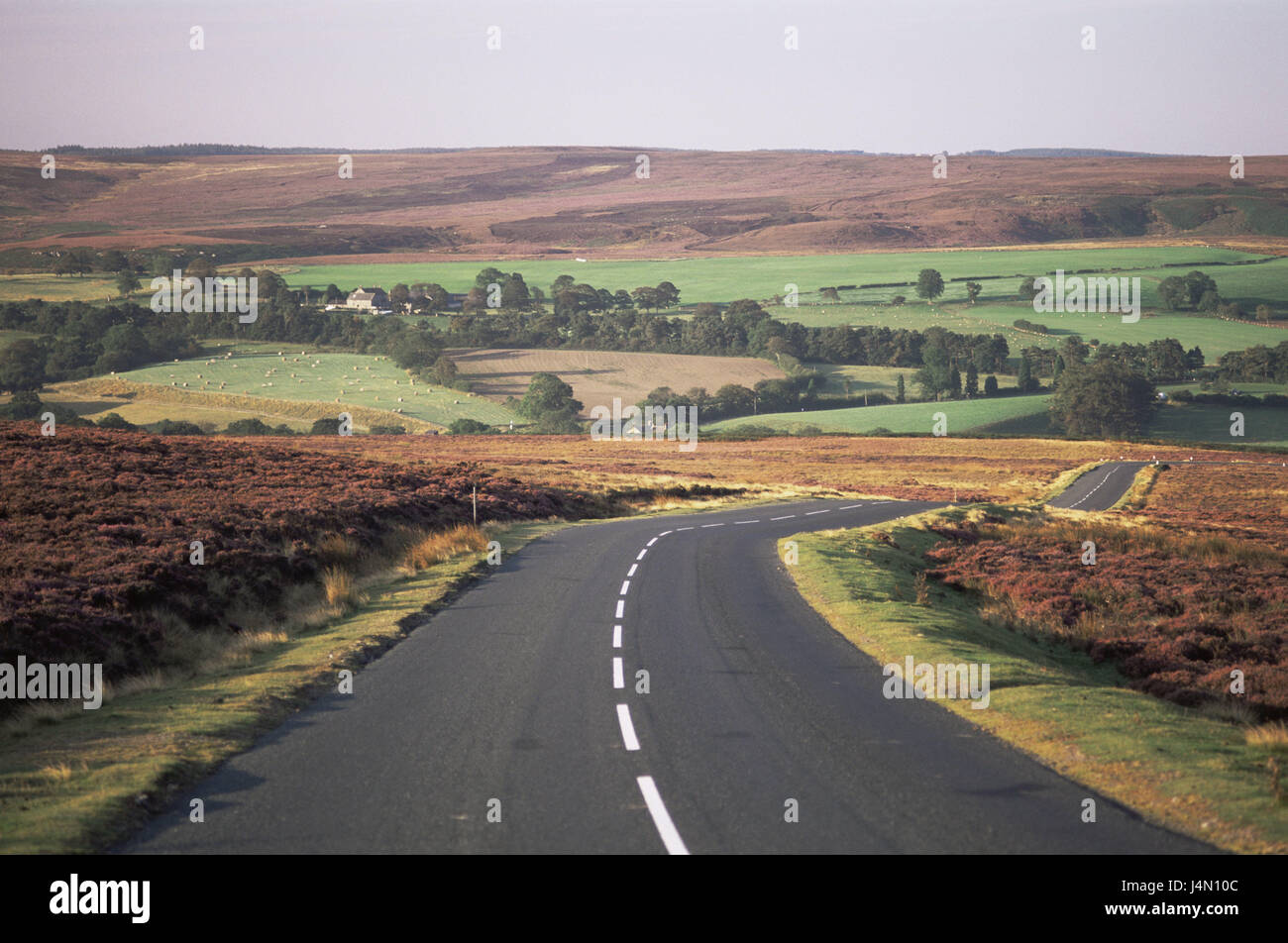 Great Britain, England, Yorkshire, North Yorkshire of Moore national ...