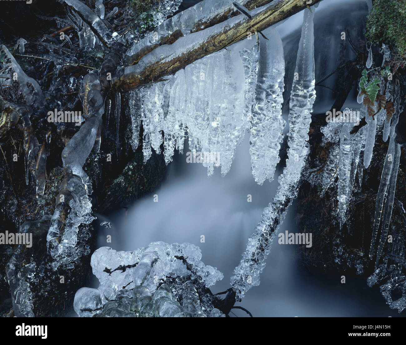 Water and forest hi-res stock photography and images - Alamy
