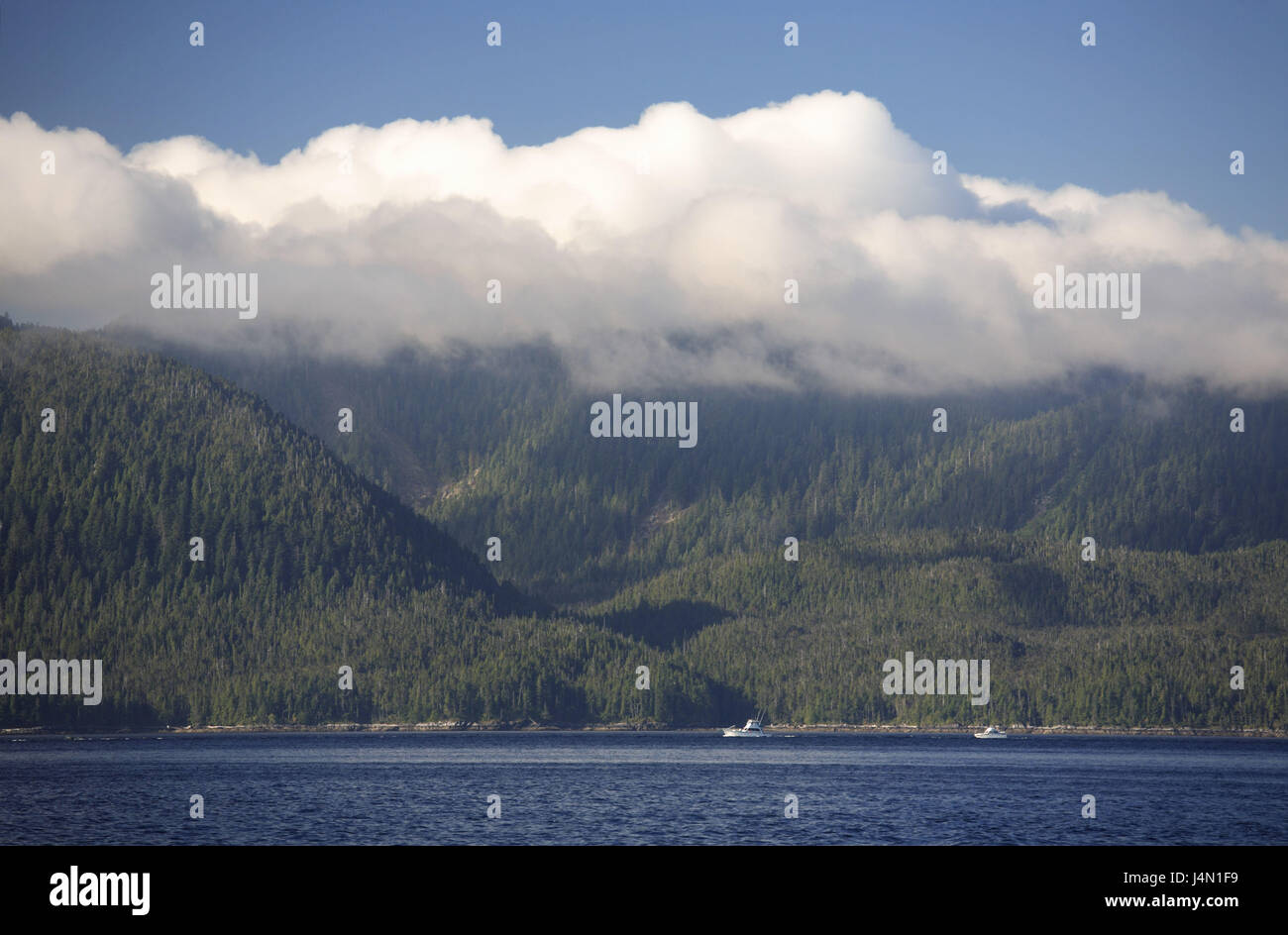 Canada, British Columbia, Great-Bear-Rainforest, fjord, coastal scenery ...
