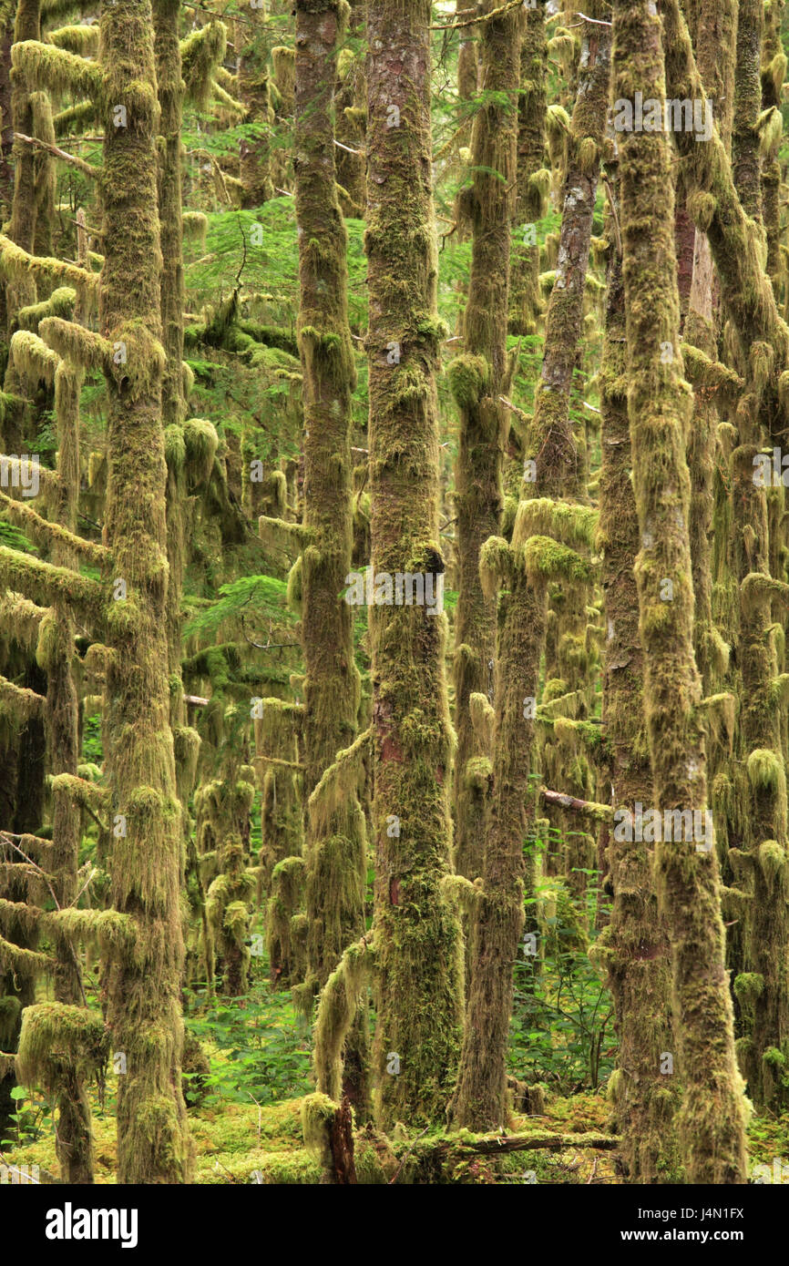 Wood islands provincial park hi-res stock photography and images - Alamy