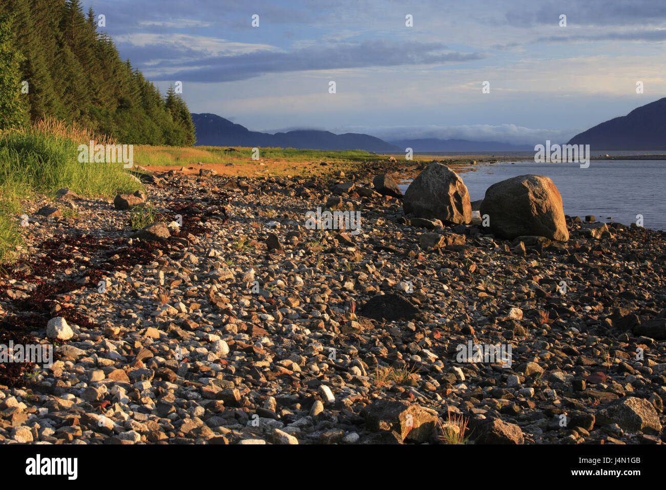 The USA, Alaska, Glacier Bay national park, Bartlett Cove, beach, sea ...