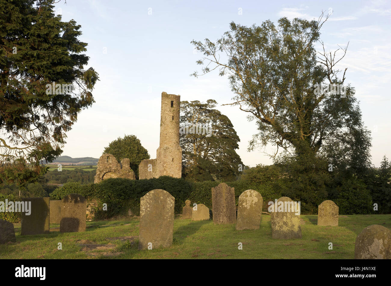 Ireland, Leinster, county Wexford, Ferns, St. Mary's Abbey Stock Photo ...