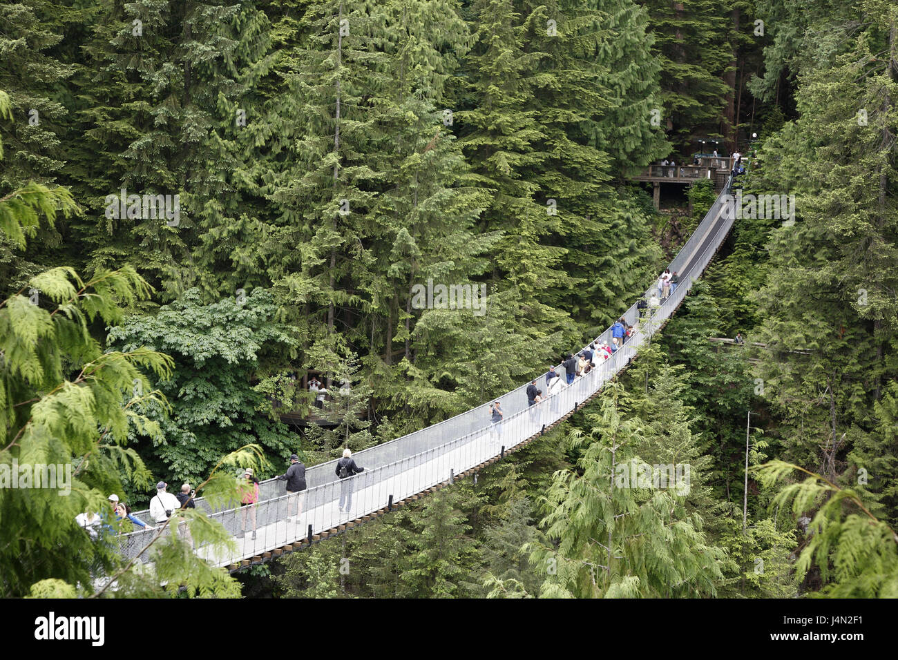 Canada, British Columbia, Vancouver, Capilano suspension Bridge, river ...