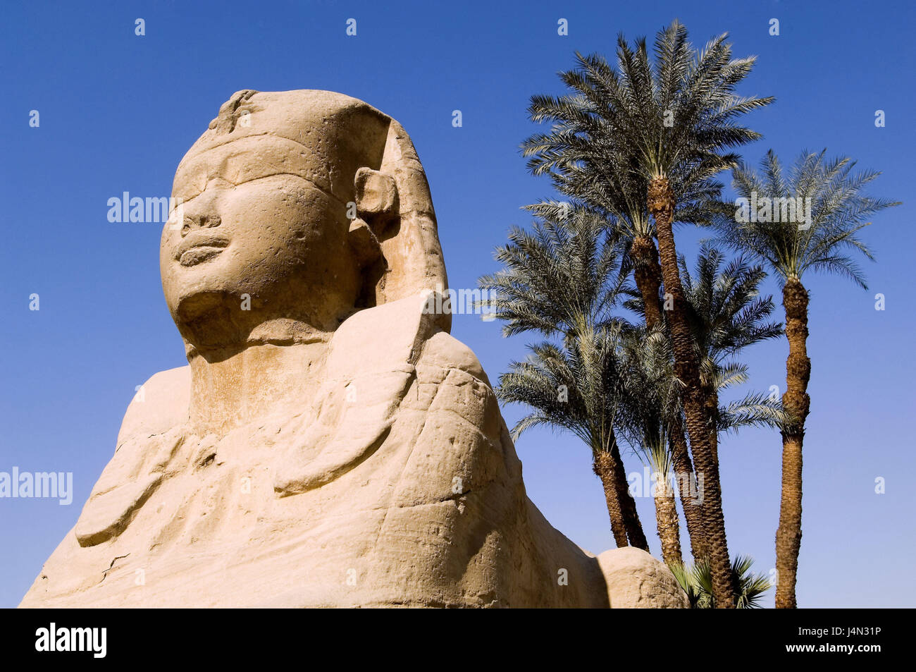 Valley of the temple hi-res stock photography and images - Alamy