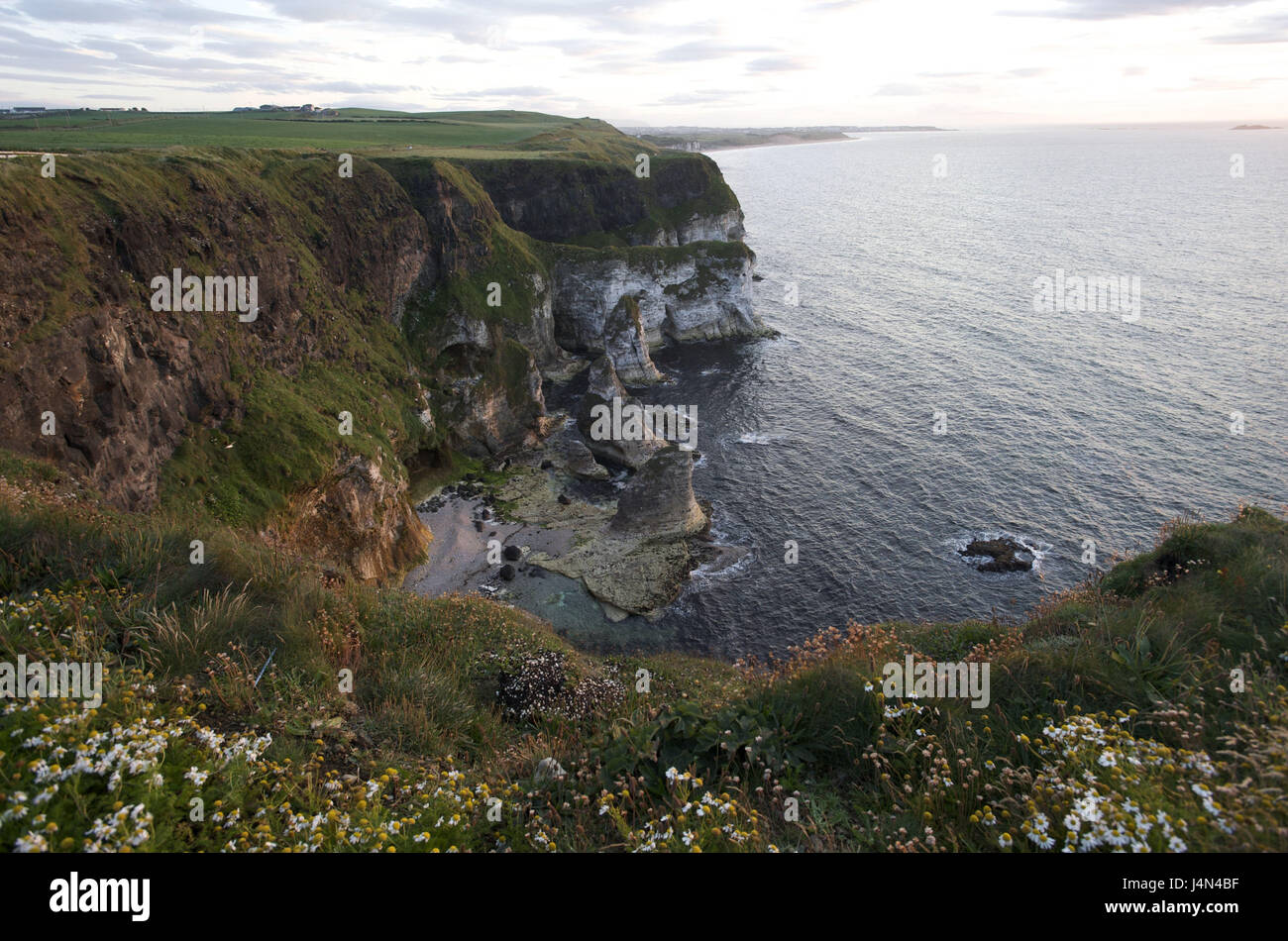 Northern Ireland, Ulster, Derry County, Antrim Coast, coastal scenery ...