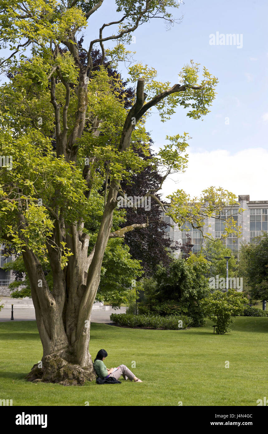 Ireland, Munster, Cork county, Cork, University college, campus, tree ...