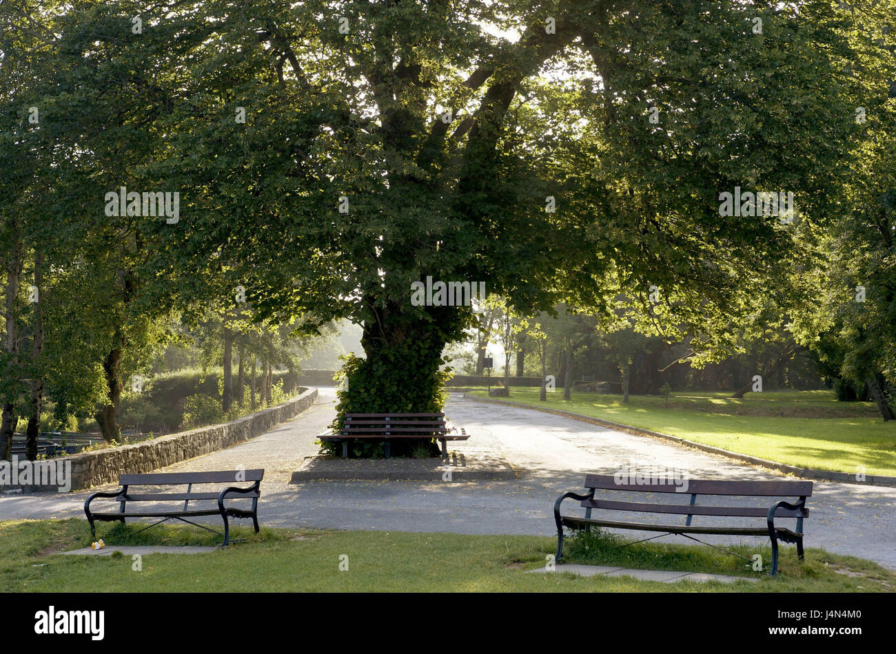 Ireland, Munster, county Kerry, Killarney national park, benches Stock ...
