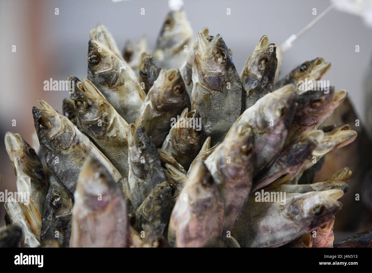 Riga fish hi-res stock photography and images - Alamy