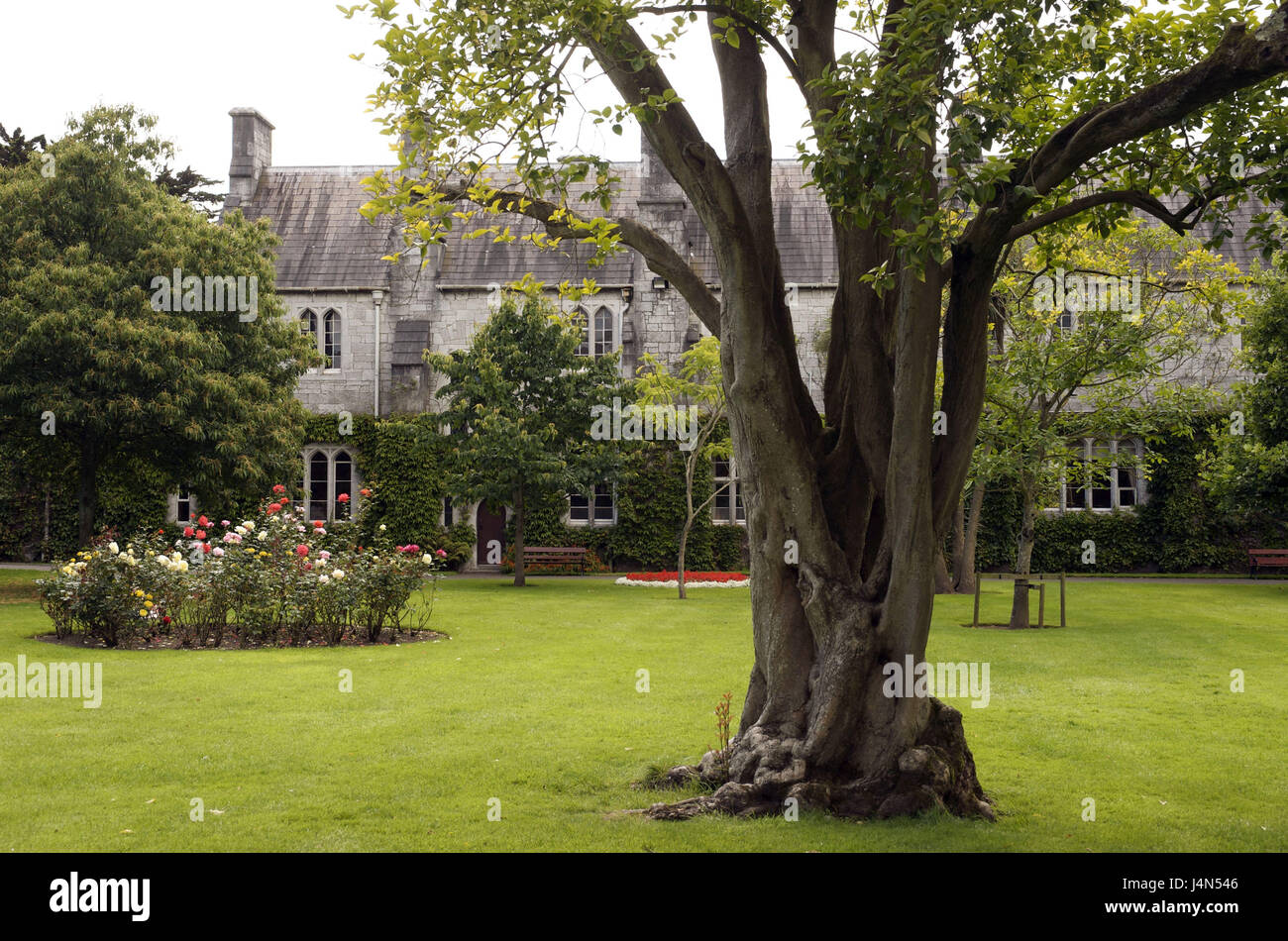 University college cork hi-res stock photography and images - Alamy
