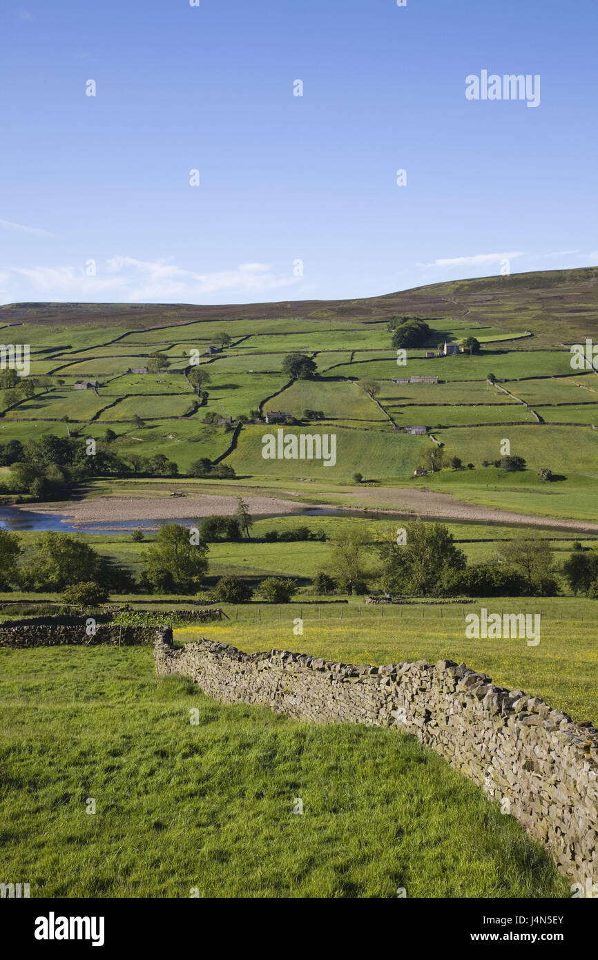 Great Britain, England, Yorkshire, Yorkshire Dales, Swaledale, field ...
