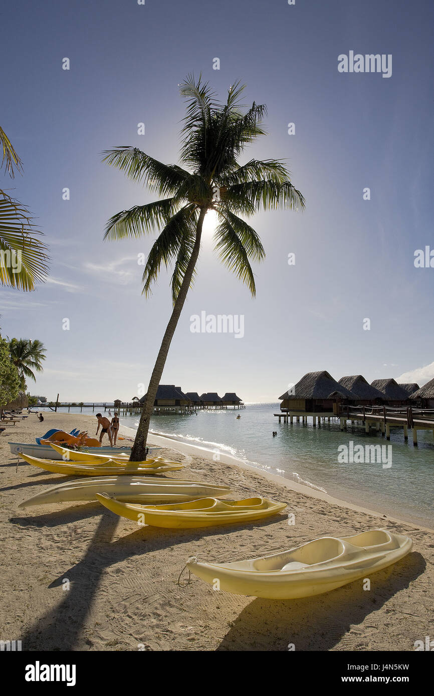 Back palm hi-res stock photography and images - Alamy