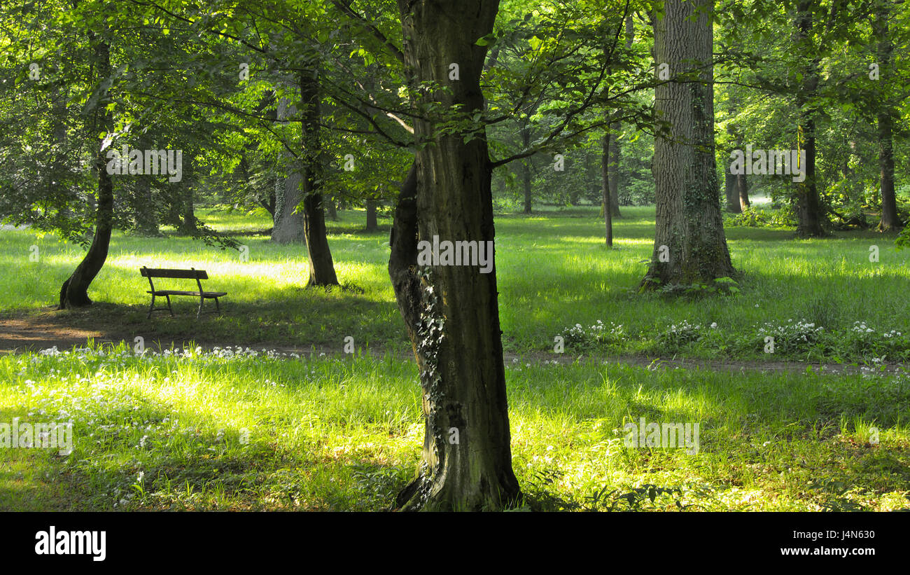 Park, park-bench, spring Stock Photo - Alamy