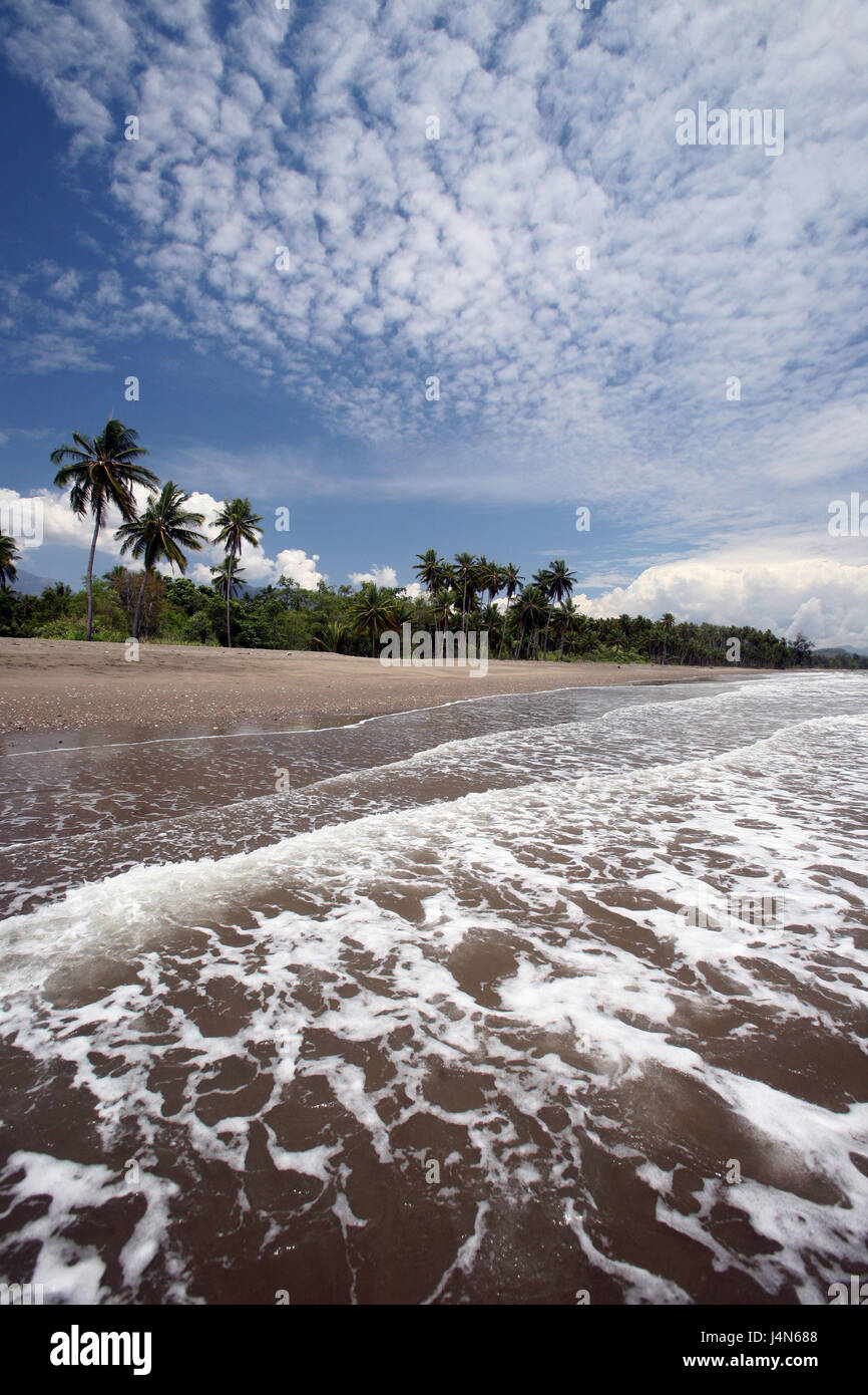 Democratic republic of Timor-Leste, Beaco, palm beach, surf Stock Photo ...