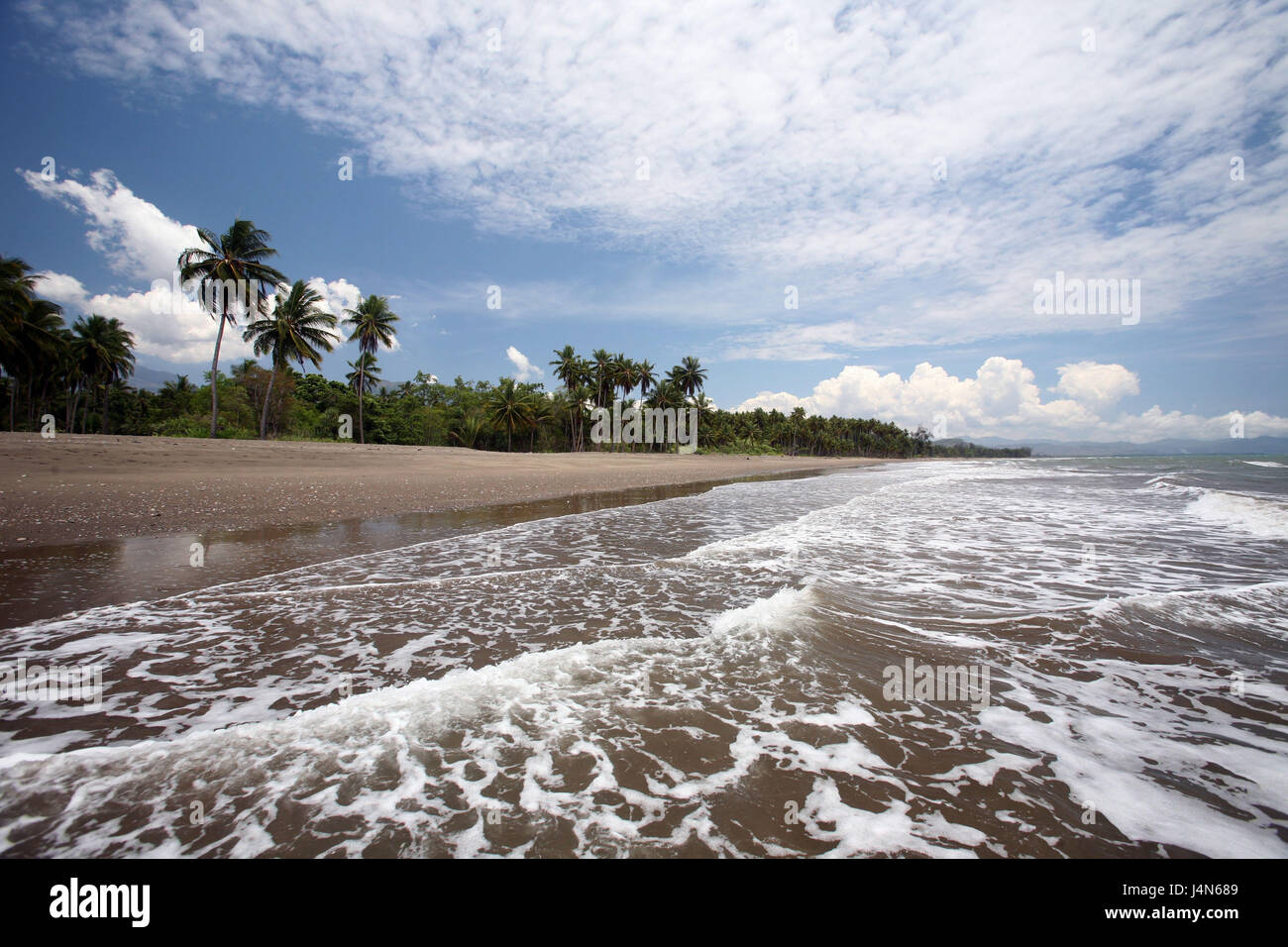 Democratic republic of Timor-Leste, Beaco, palm beach, surf Stock Photo ...