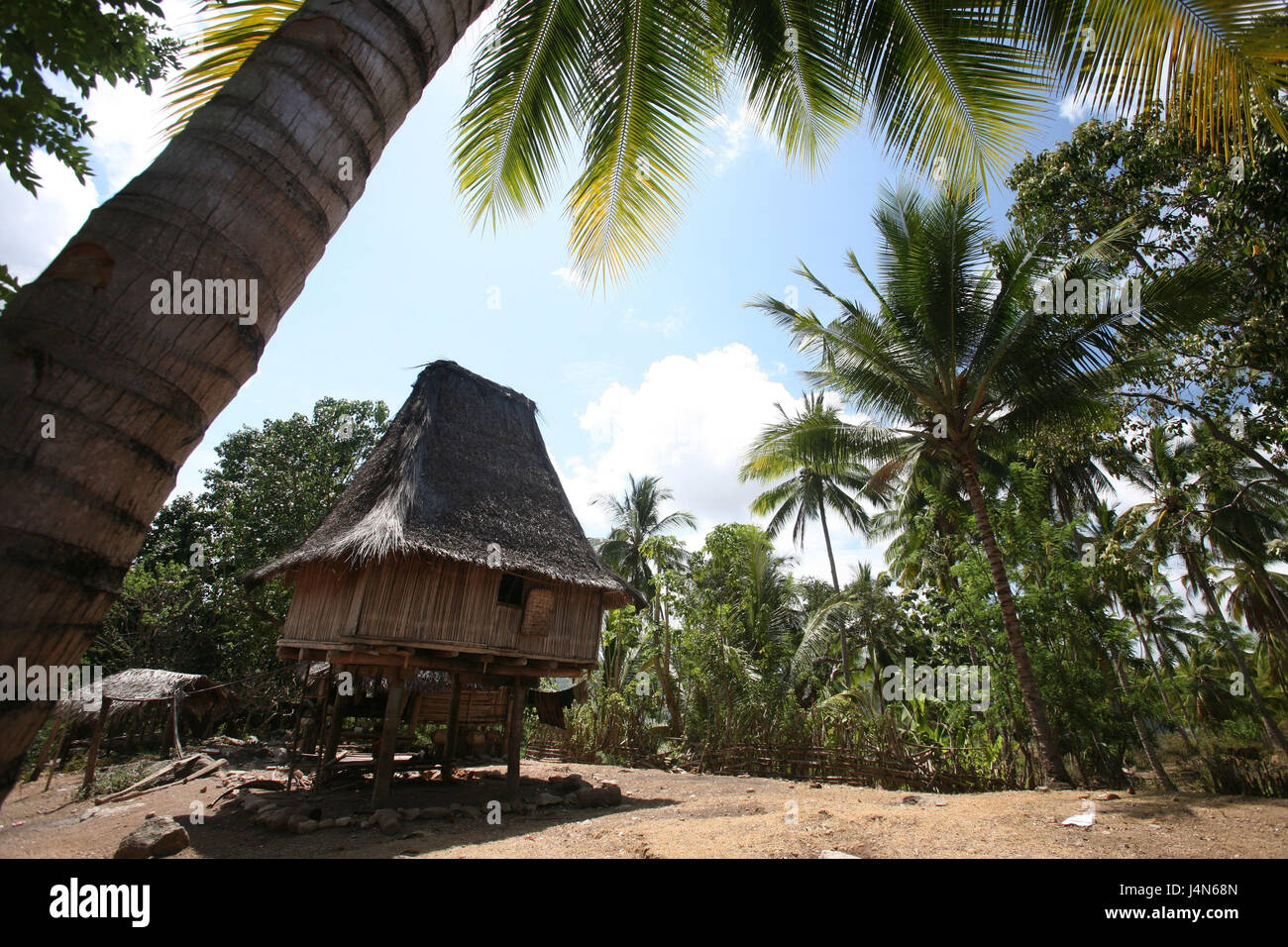 Democratic republic of Timor-Leste, Cacayem, wood, lumen, straw ...